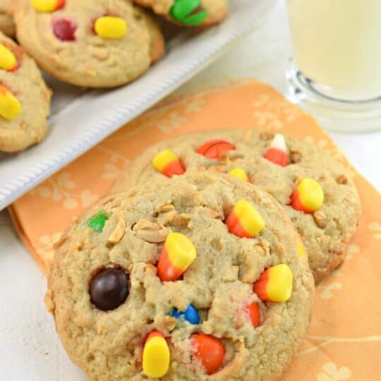 150+ of the BEST Cookie Recipes