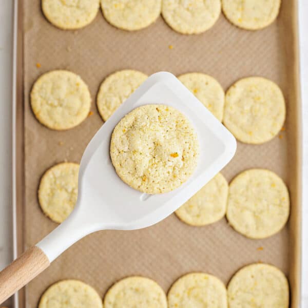 Orange, Lemon and Lime Citrus Cookies - Shugary Sweets