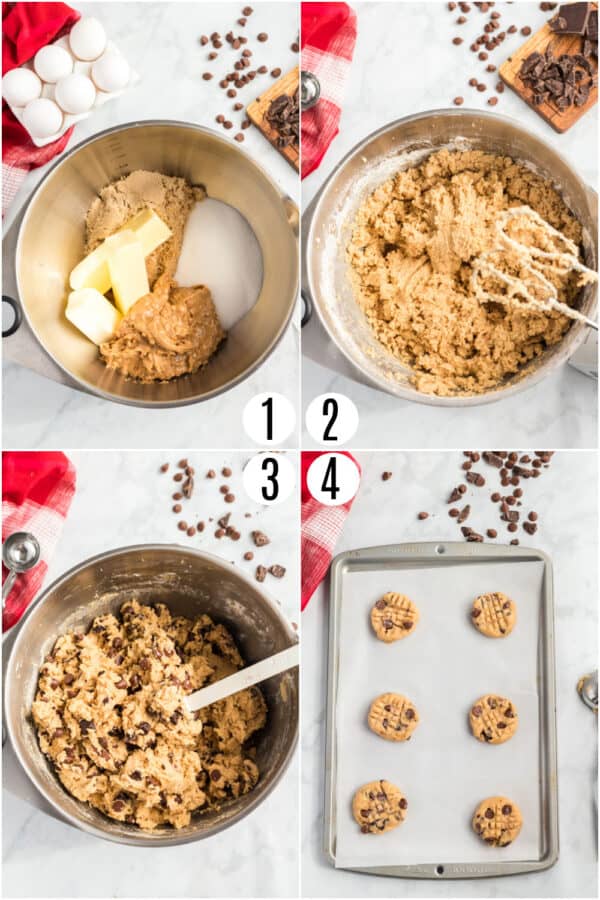 Peanut Butter Chocolate Chip Cookies Recipe - Shugary Sweets