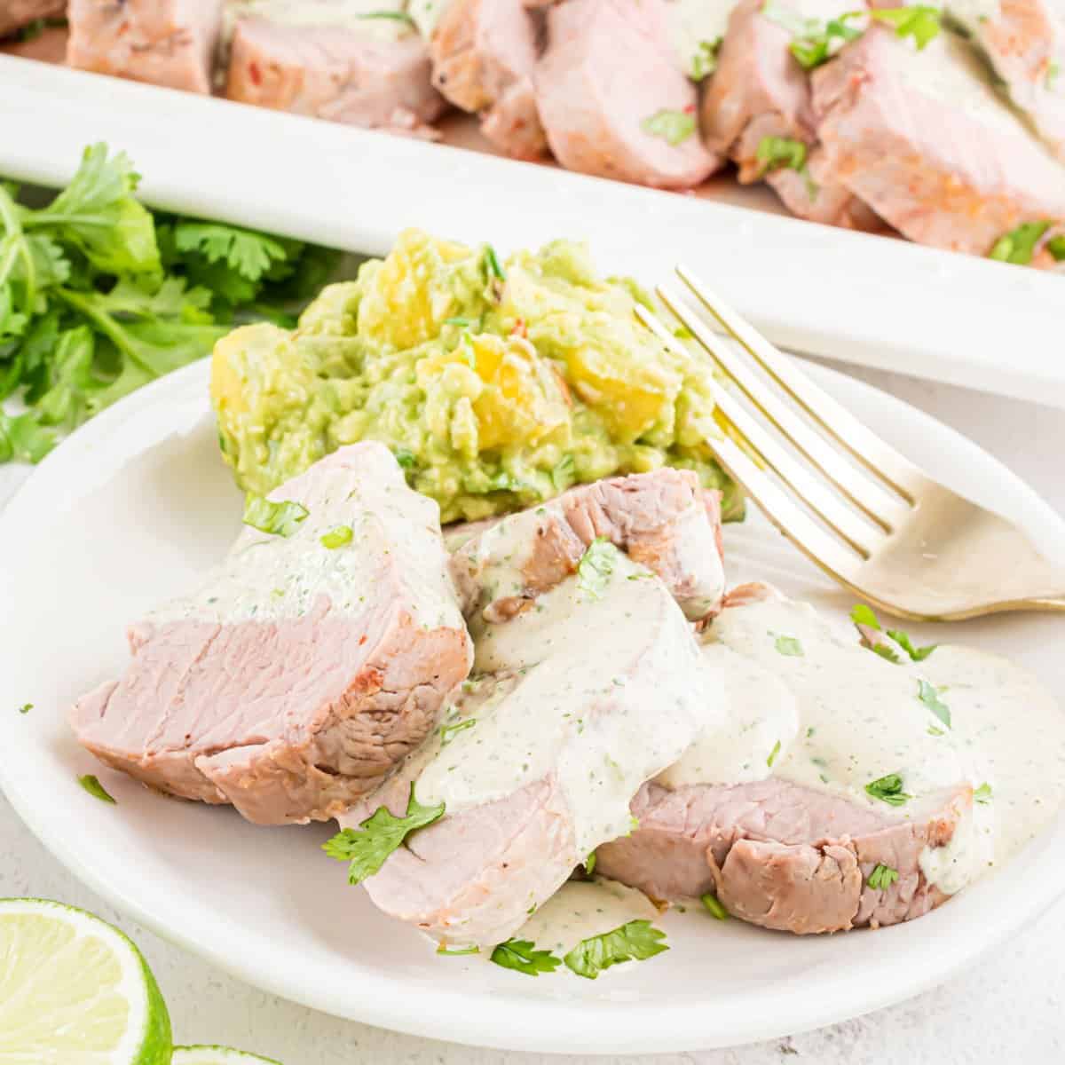 Chipotle Pork Tenderloin Recipe - Shugary Sweets