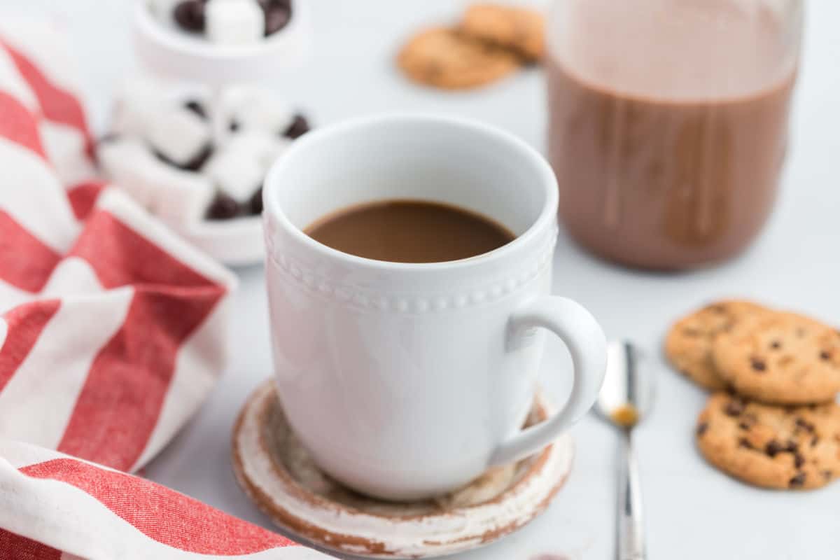 Chocolate Chip Cookie Coffee Creamer - Shugary Sweets
