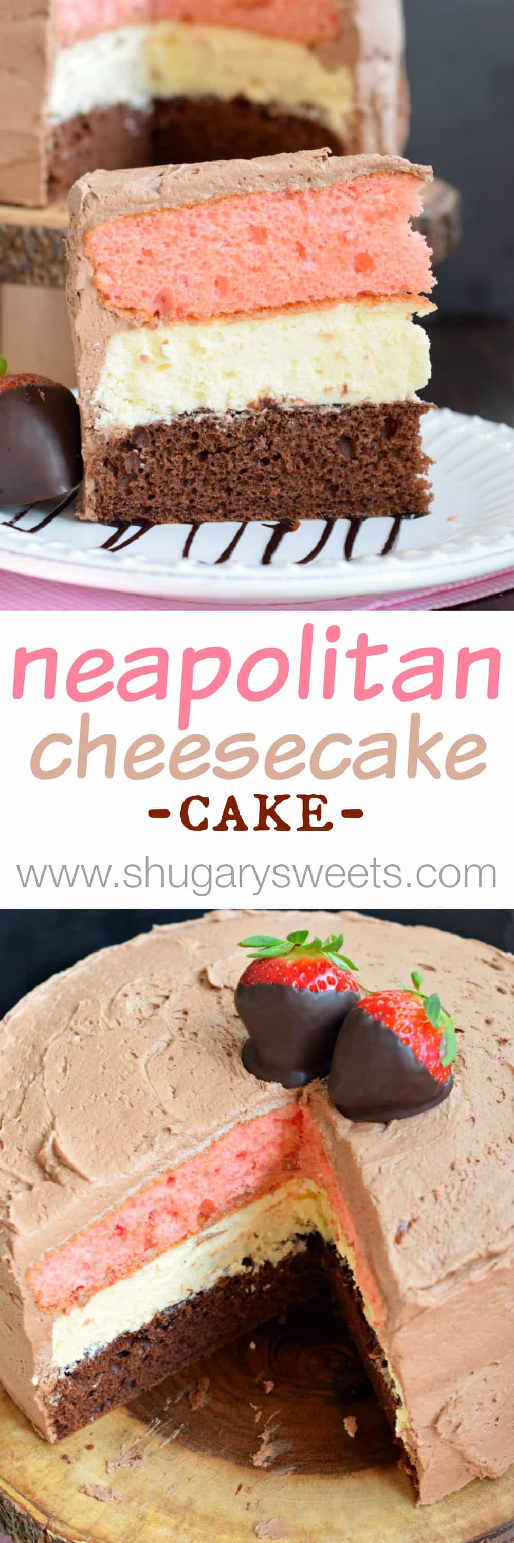 Neapolitan Cheesecake Cake - Shugary Sweets