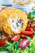 Taco Cheese Ball Recipe - Shugary Sweets