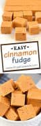 Cinnamon Fudge - Shugary Sweets