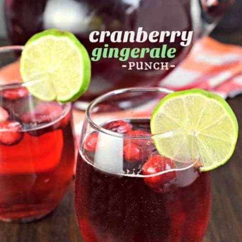 Cranberry Ginger Ale Punch - Shugary Sweets