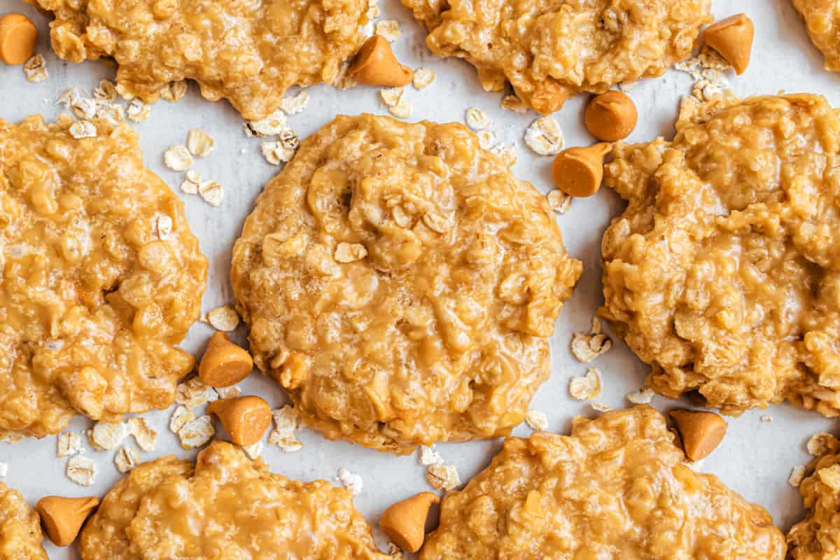 No Bake Oatmeal Scotchies Recipe - Shugary Sweets