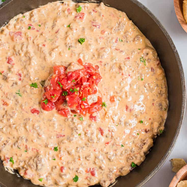 Rotel Dip Recipe - Shugary Sweets