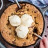 Chocolate Chip Pizookie Recipe - Shugary Sweets