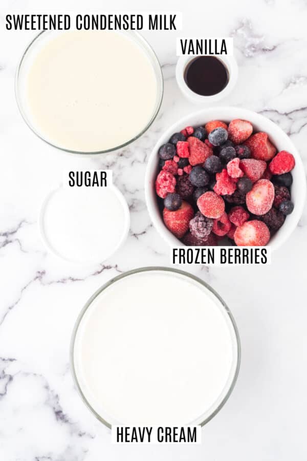 Berry Ice Cream Recipe - Shugary Sweets