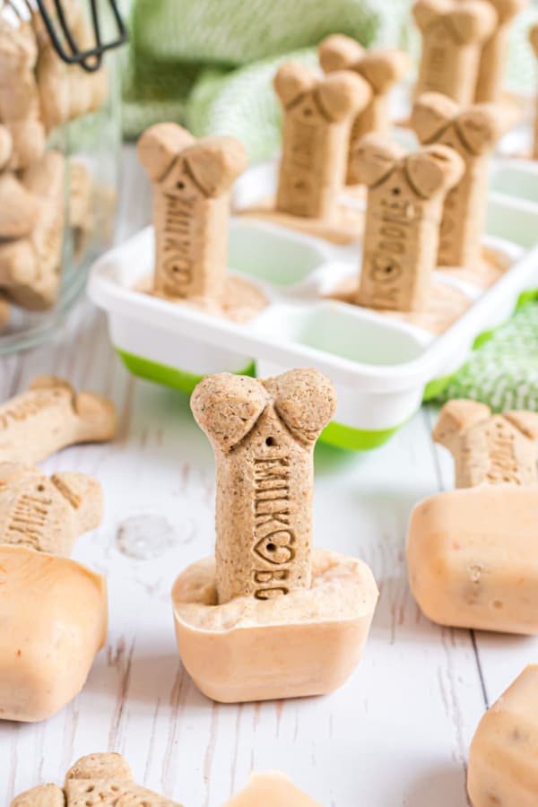 Easy Homemade Dog Ice Cream Recipe - Shugary Sweets