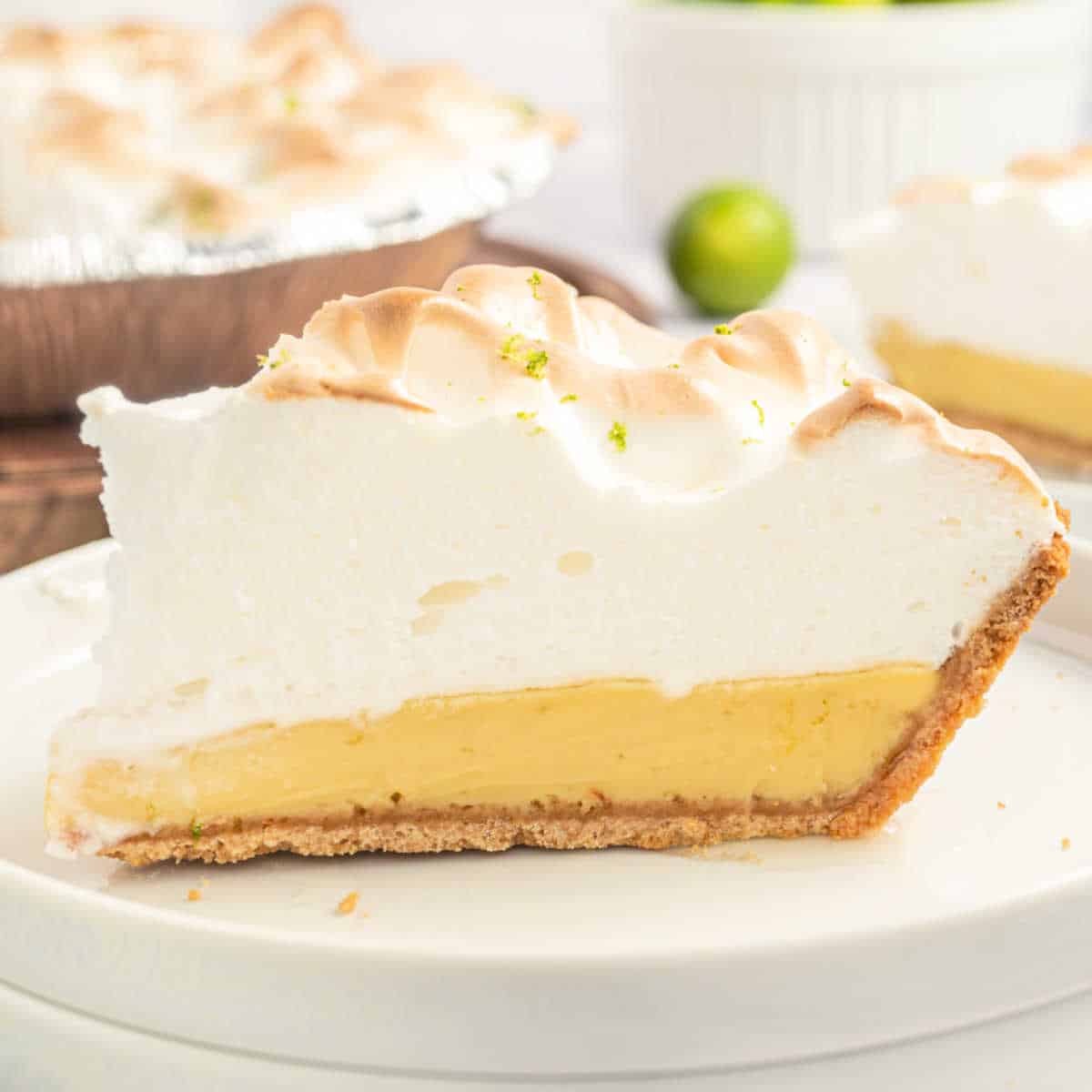 40+ Easy Homemade Pie Recipes