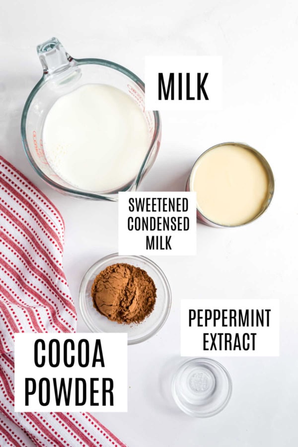 Homemade Peppermint Mocha Coffee Creamer Recipe