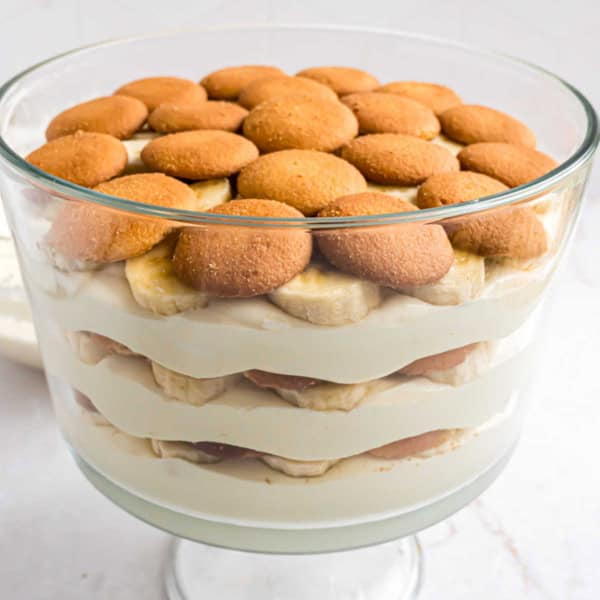 Magnolia Bakery Famous Banana Pudding