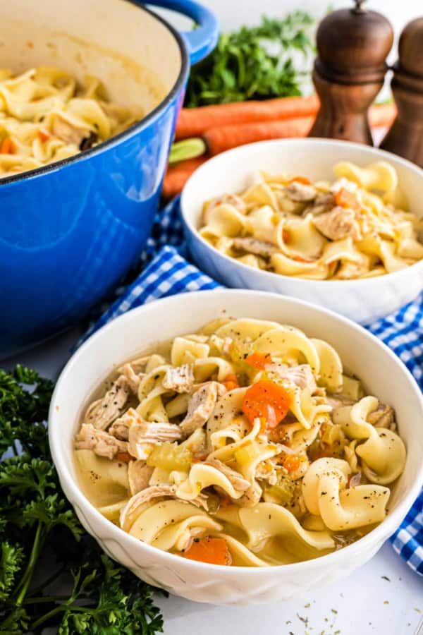 Easy Chicken Noodle Soup Recipe